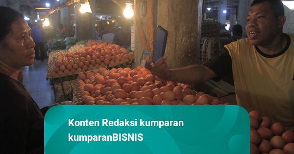 Harga Telur Ayam Naik Jelang Nataru, Peternak Ungkap karena Permintaan Melonjak | kumparan.com
